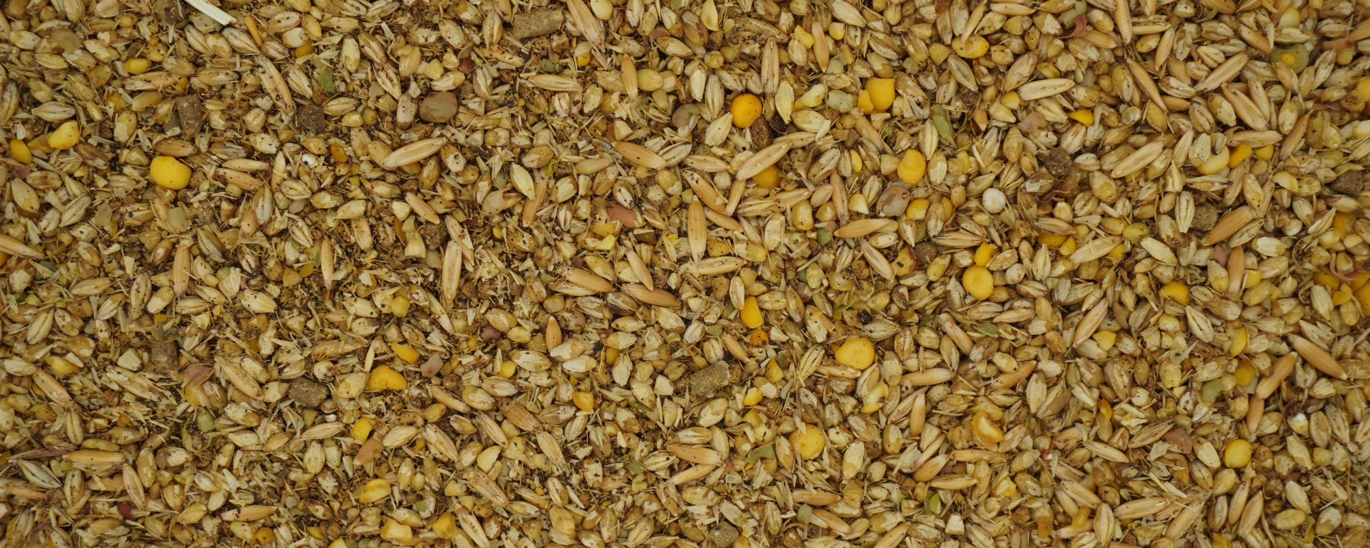 HFS Commercial Sheep Meal – Hills Farm Supplies