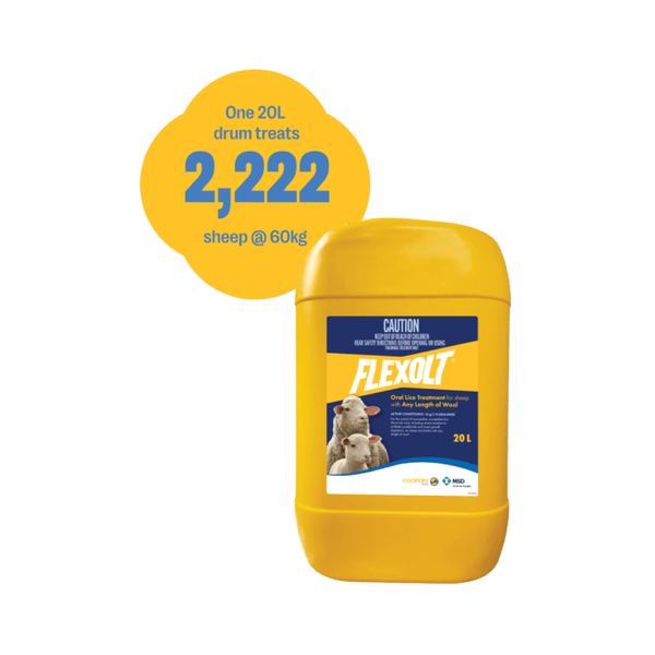 Coopers Flexolt | Oral Lousicide for Effective Sheep Lice Control ...