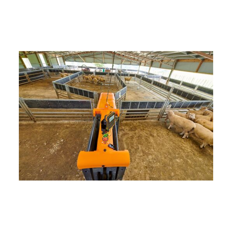 Gallagher Sheep Auto Drafter – Hills Farm Supplies