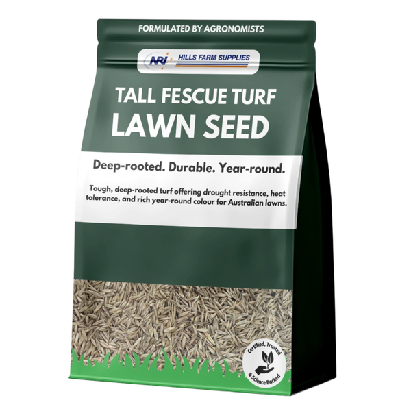 Tall Fescue Lawn Seed for Drought Resistance | Hills Farm Supplies