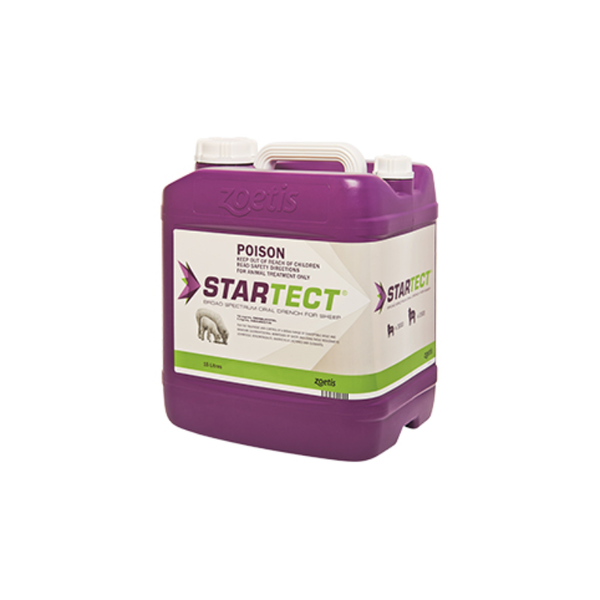 Buy Zoetis Startect Sheep Drench – Dual Active Worm Control – Hills ...