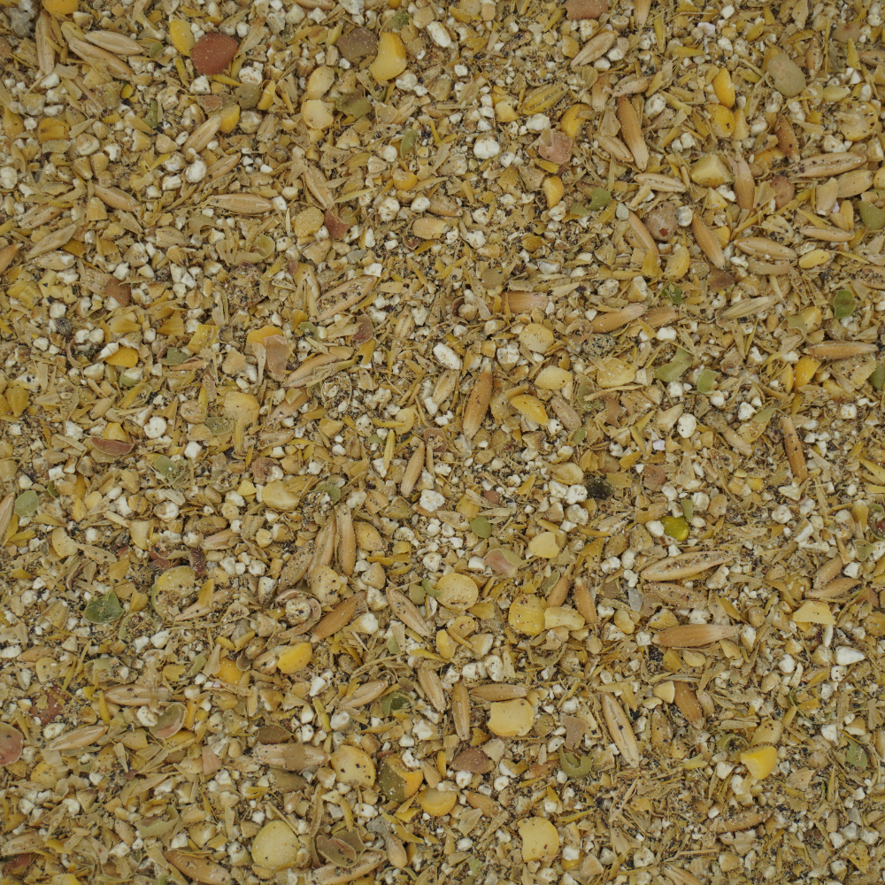HFS Beef Feedlot Starter – Hills Farm Supplies